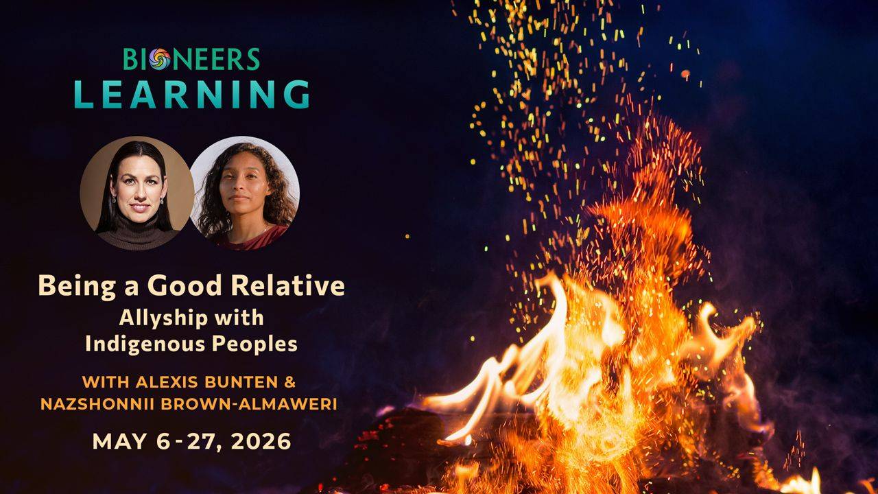 Being a Good Relative: Allyship with Indigenous Peoples