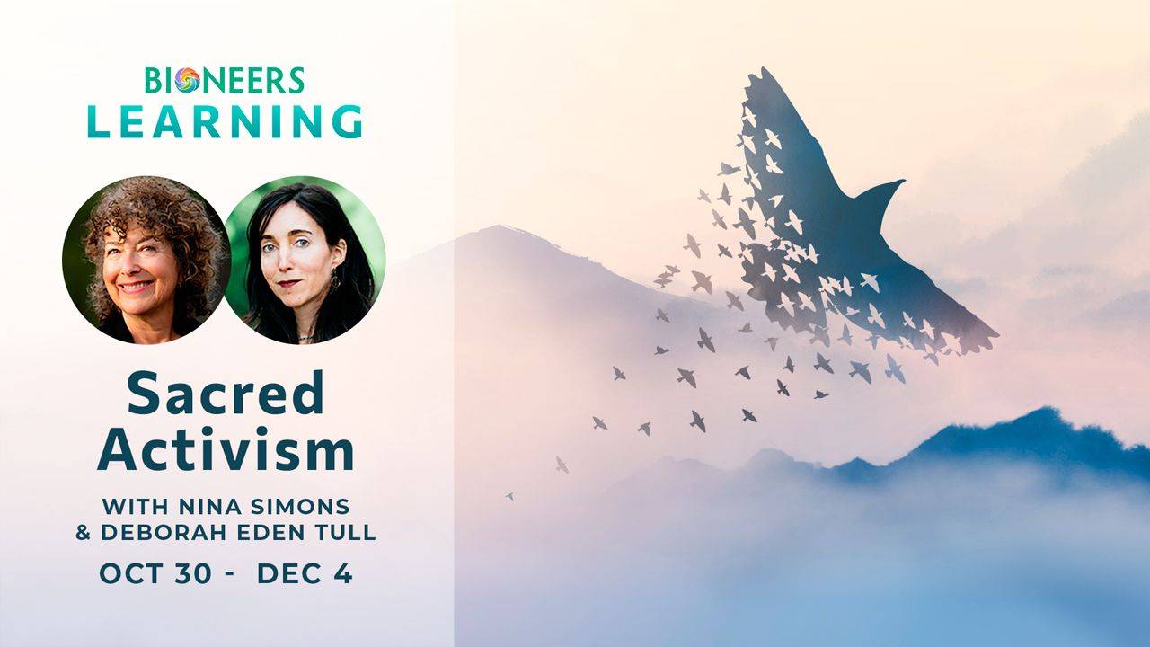 Sacred Activism with Nina Simons and Deborah Eden Tull