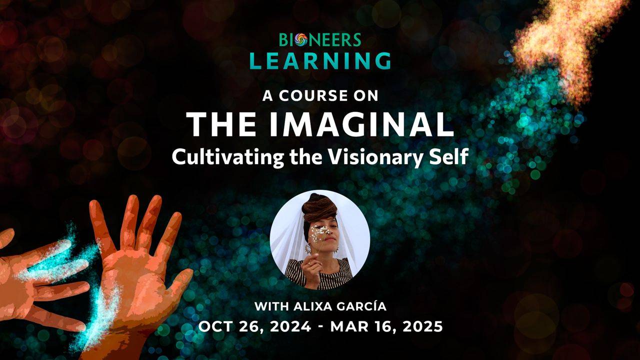 A Course on The Imaginal: Cultivating the Visionary Self