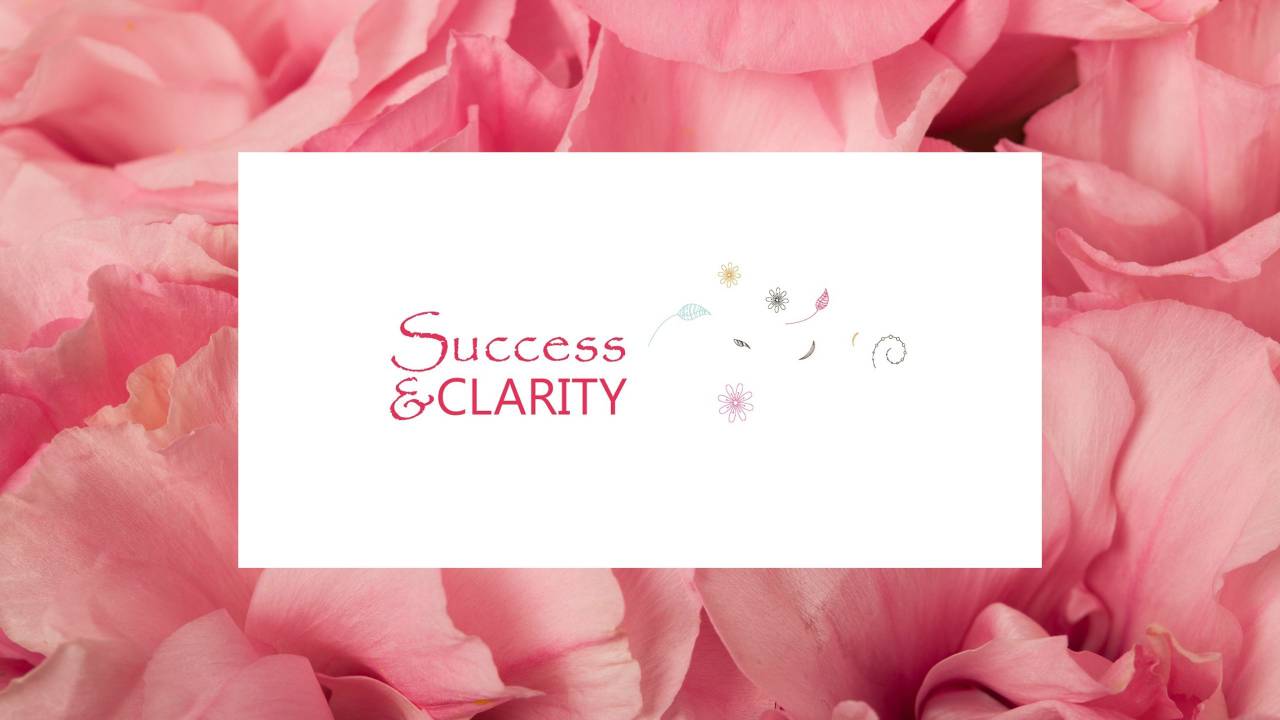 Success & Clarity Leadership Academy