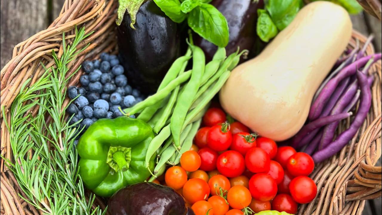 Spring Varieties List