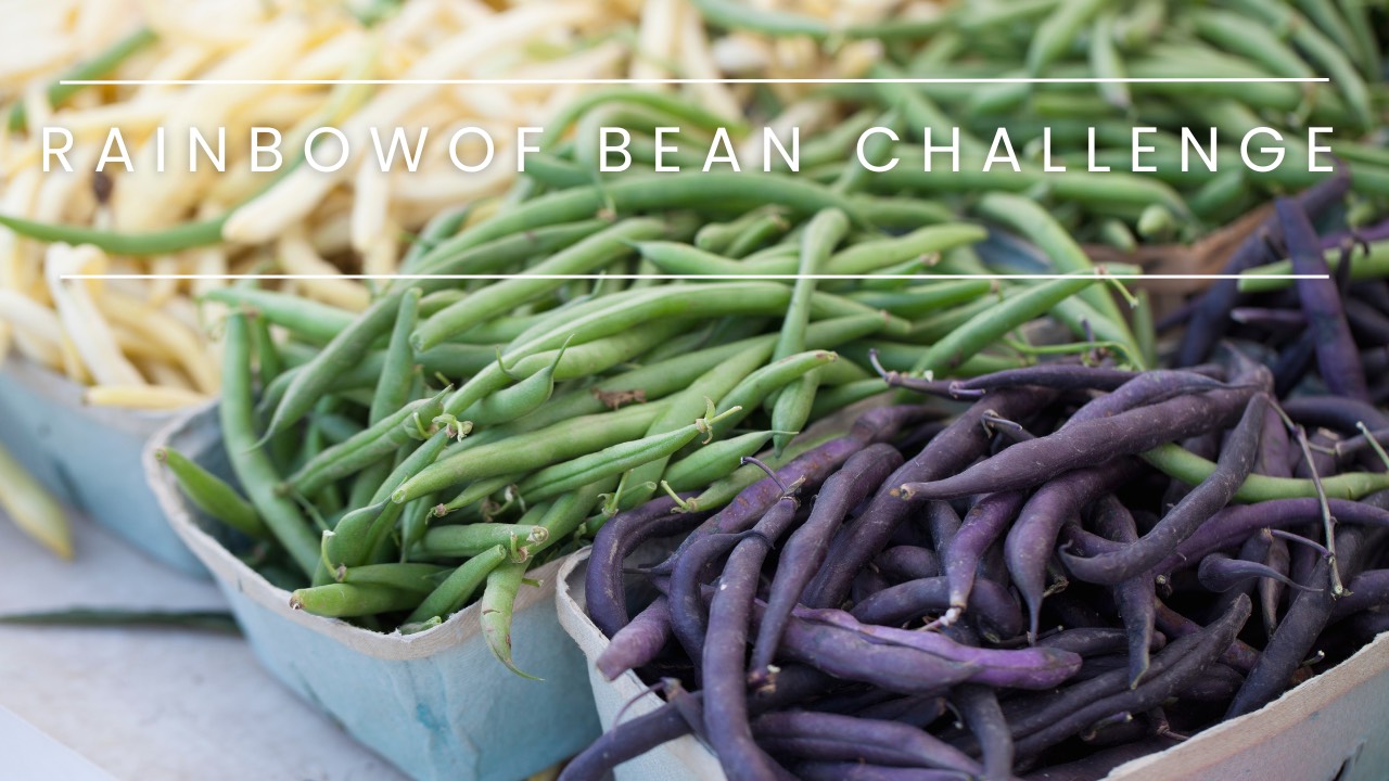 Grow A Rainbow of Beans