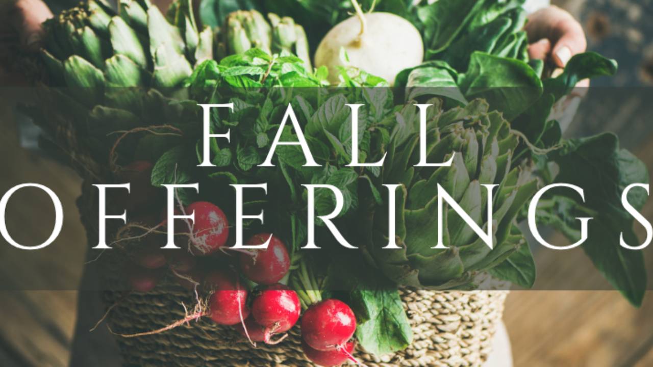 Your Best Garden Ever