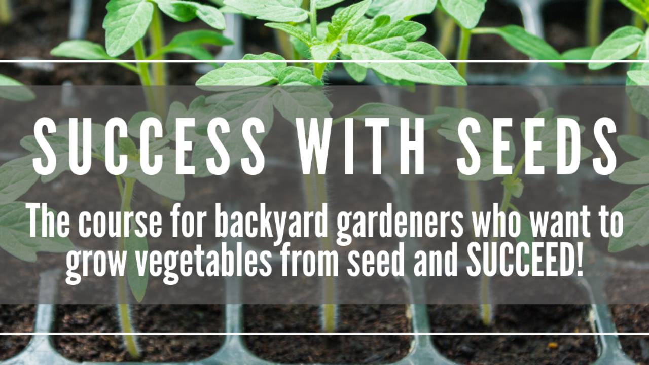 Success With Seeds