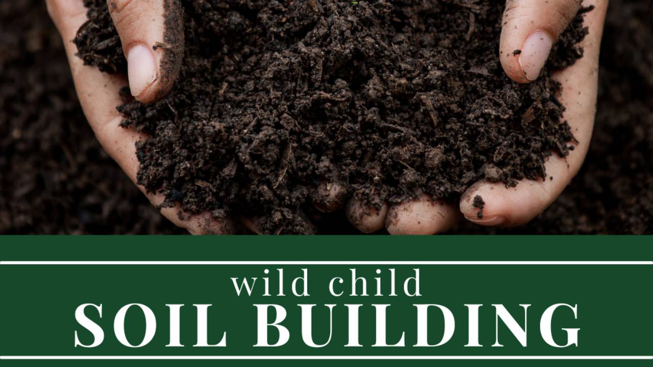 Wild Child Soil Building