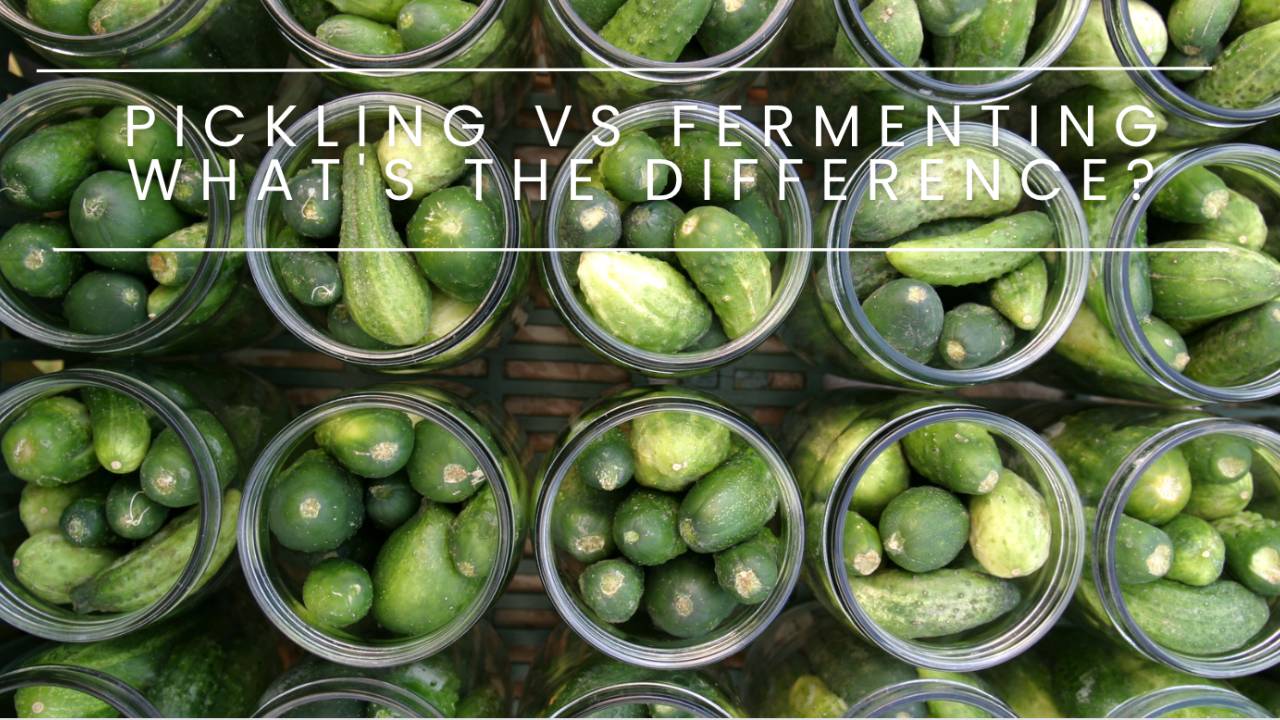 Pickling vs Fermenting