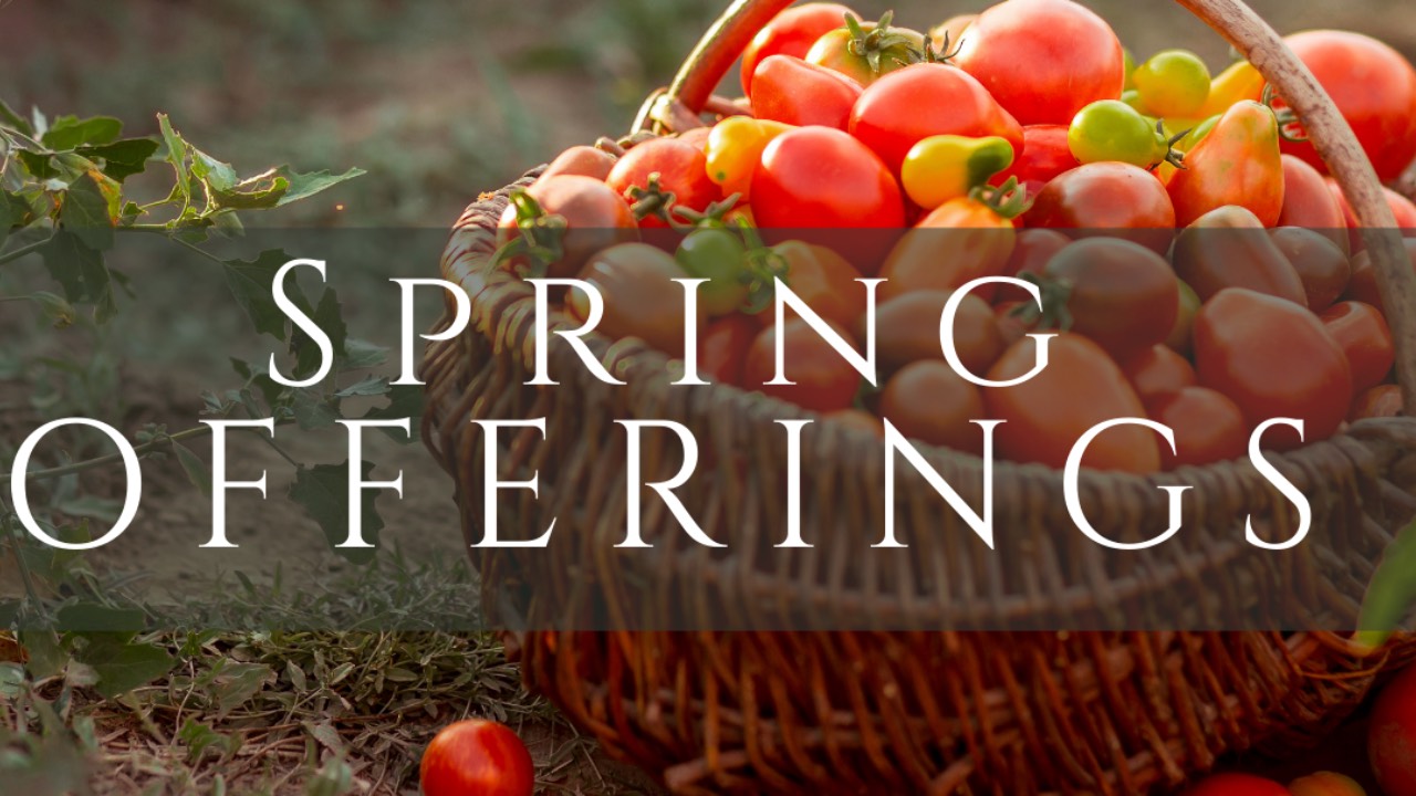 Spring Offering