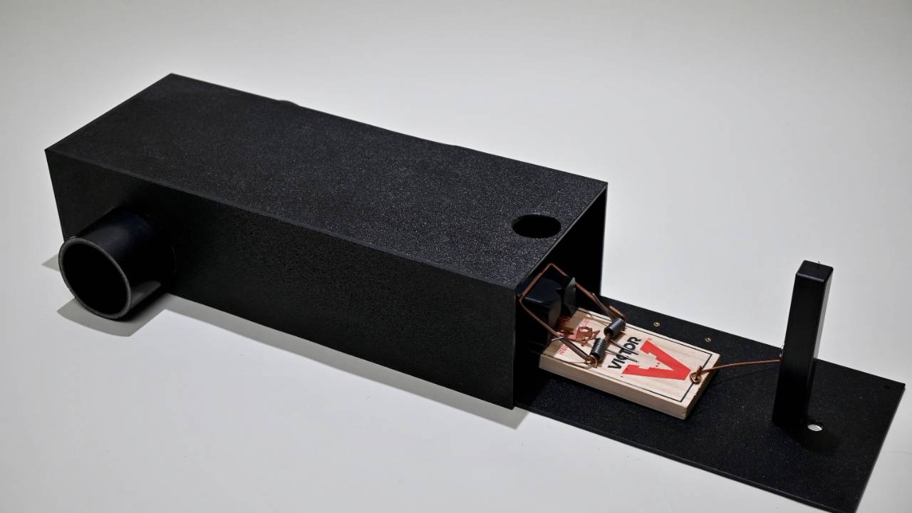 HOW TO TRAP BIG SMART RATS 🐀