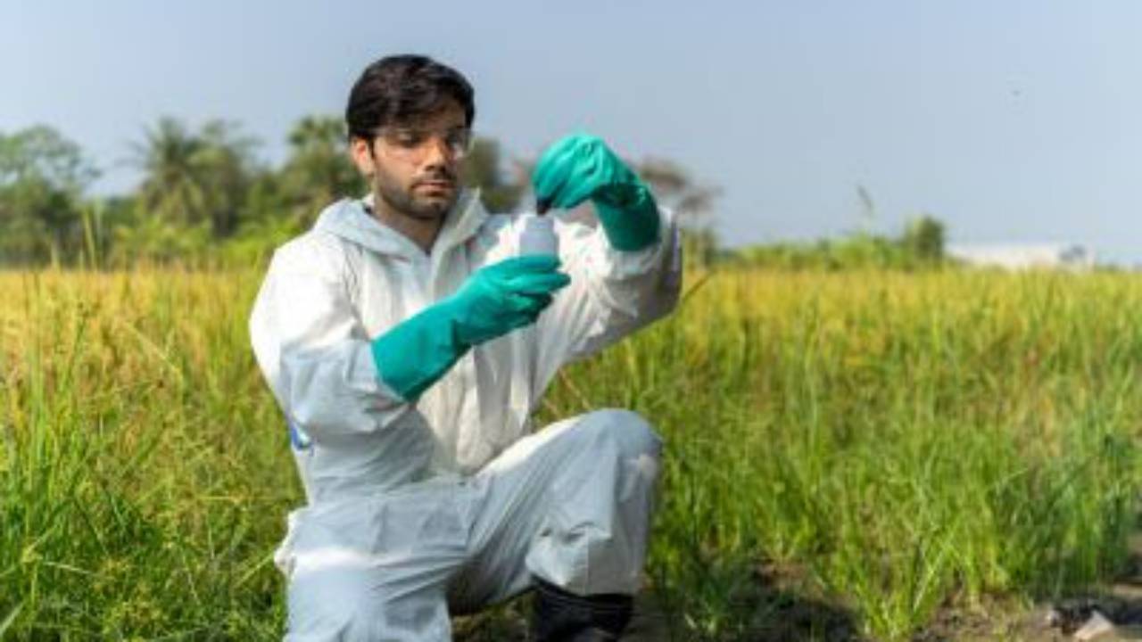 Best Practices for Field Screening & Sample Collection