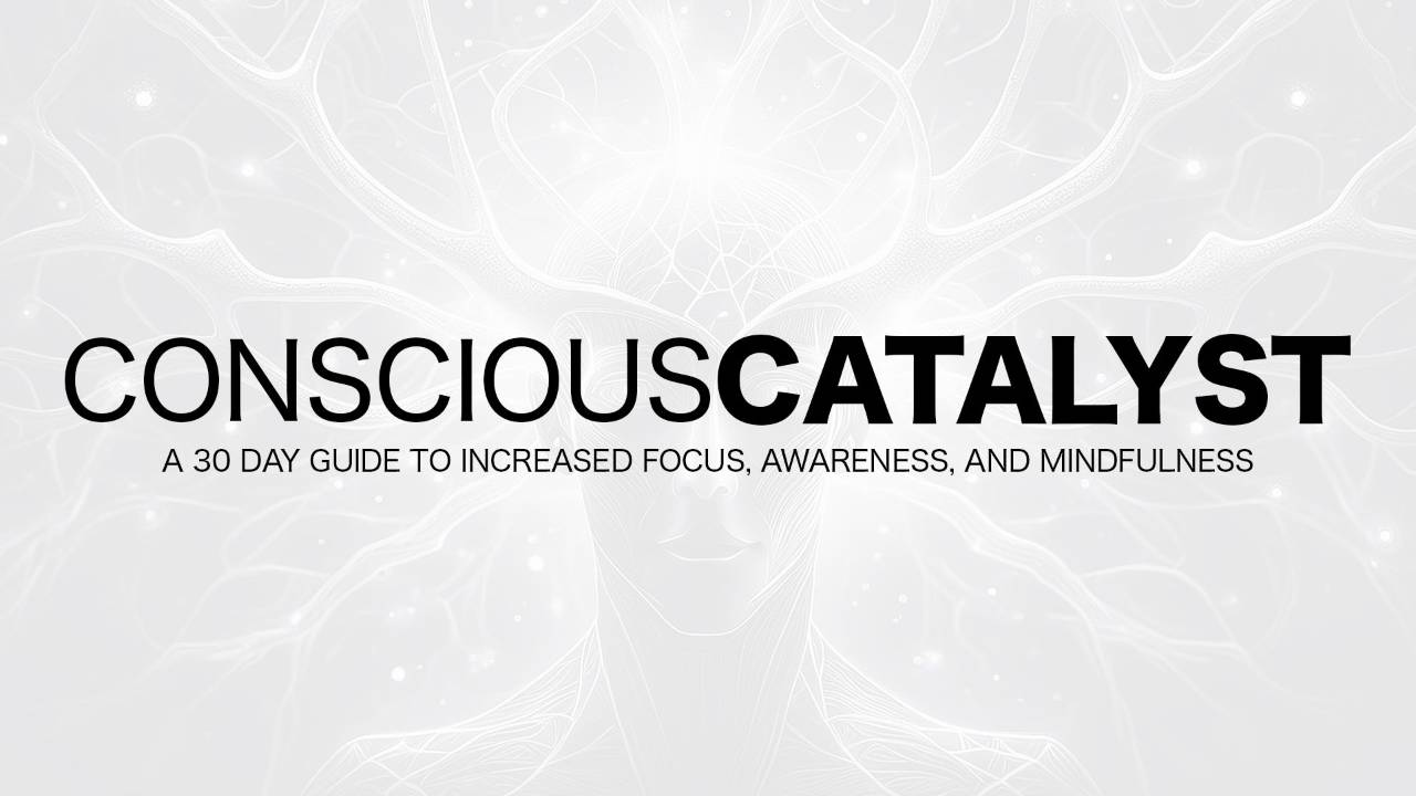 Conscious Catalyst: 30 Day Program To Reprogram Your Mind