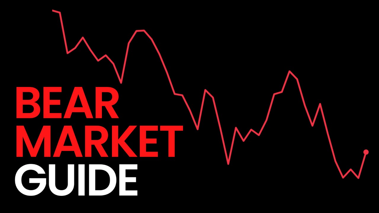 Bear Market Guide