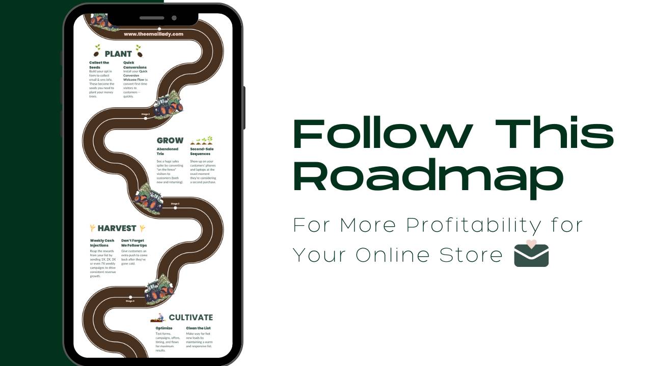Follow this Roadmap to Maximize Profitability for Your Online Store