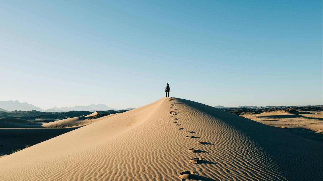 Healing Steps Course