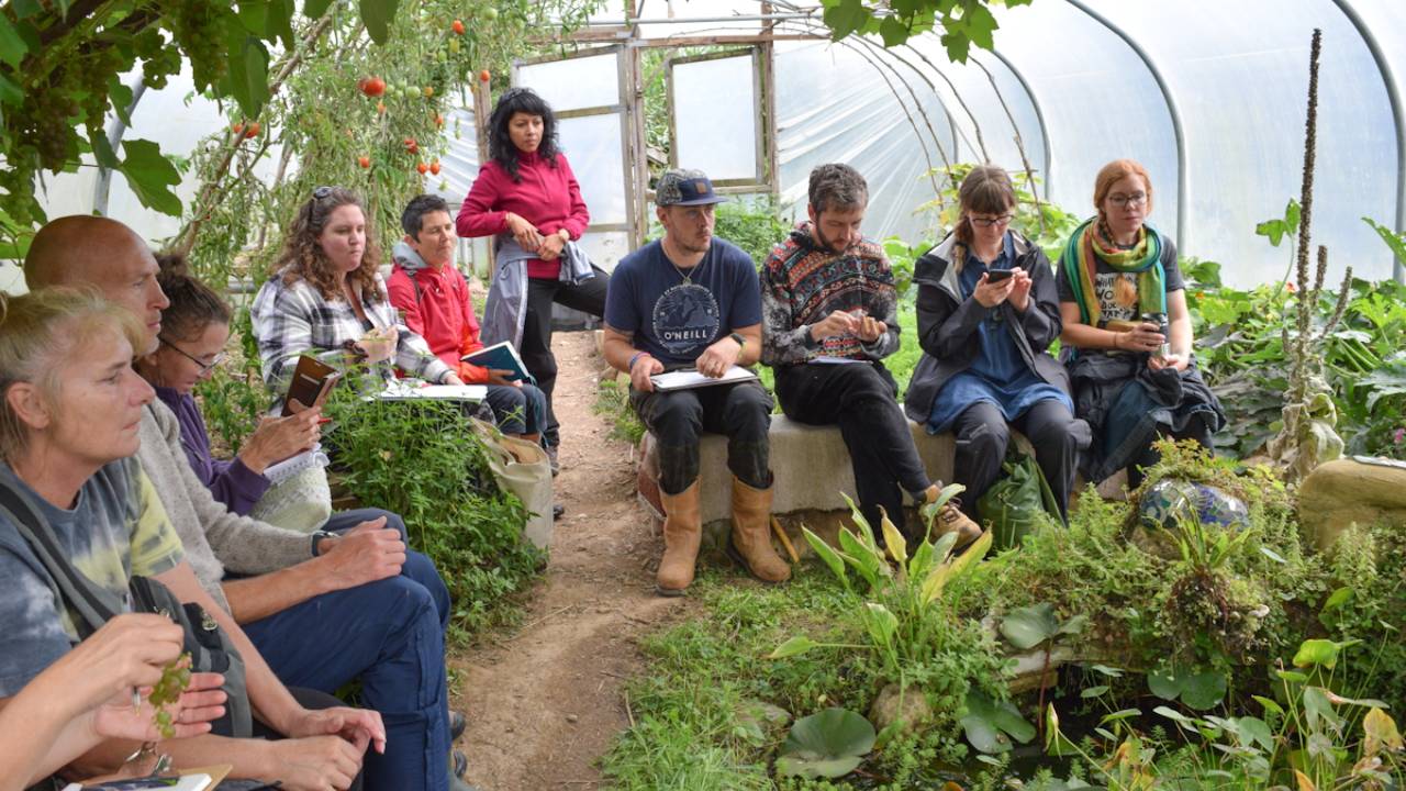 Off Grid Homesteading Club