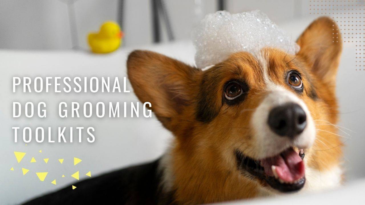 Dog Grooming Toolkits