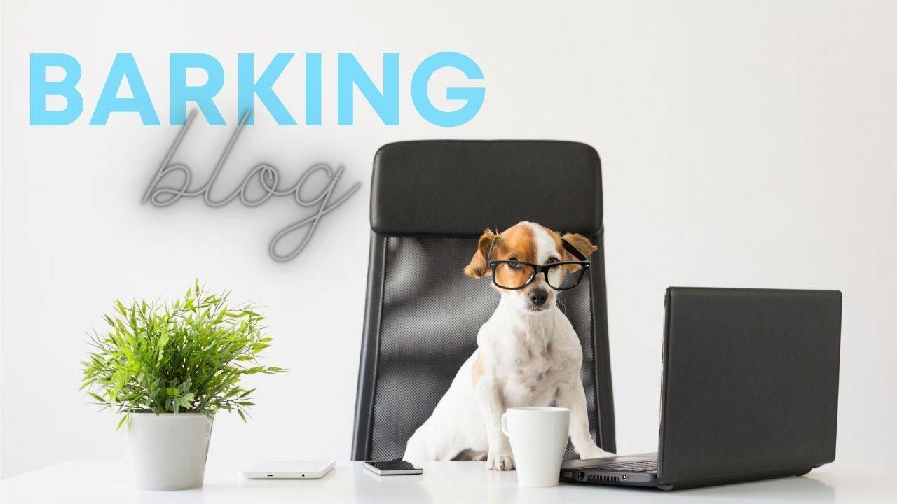 Barking Blog
