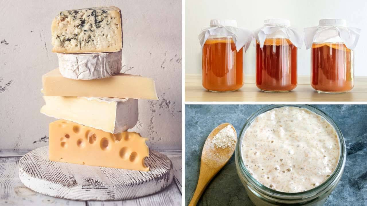How Fermentation Elevates the Flavours of Food & Beverage Products?