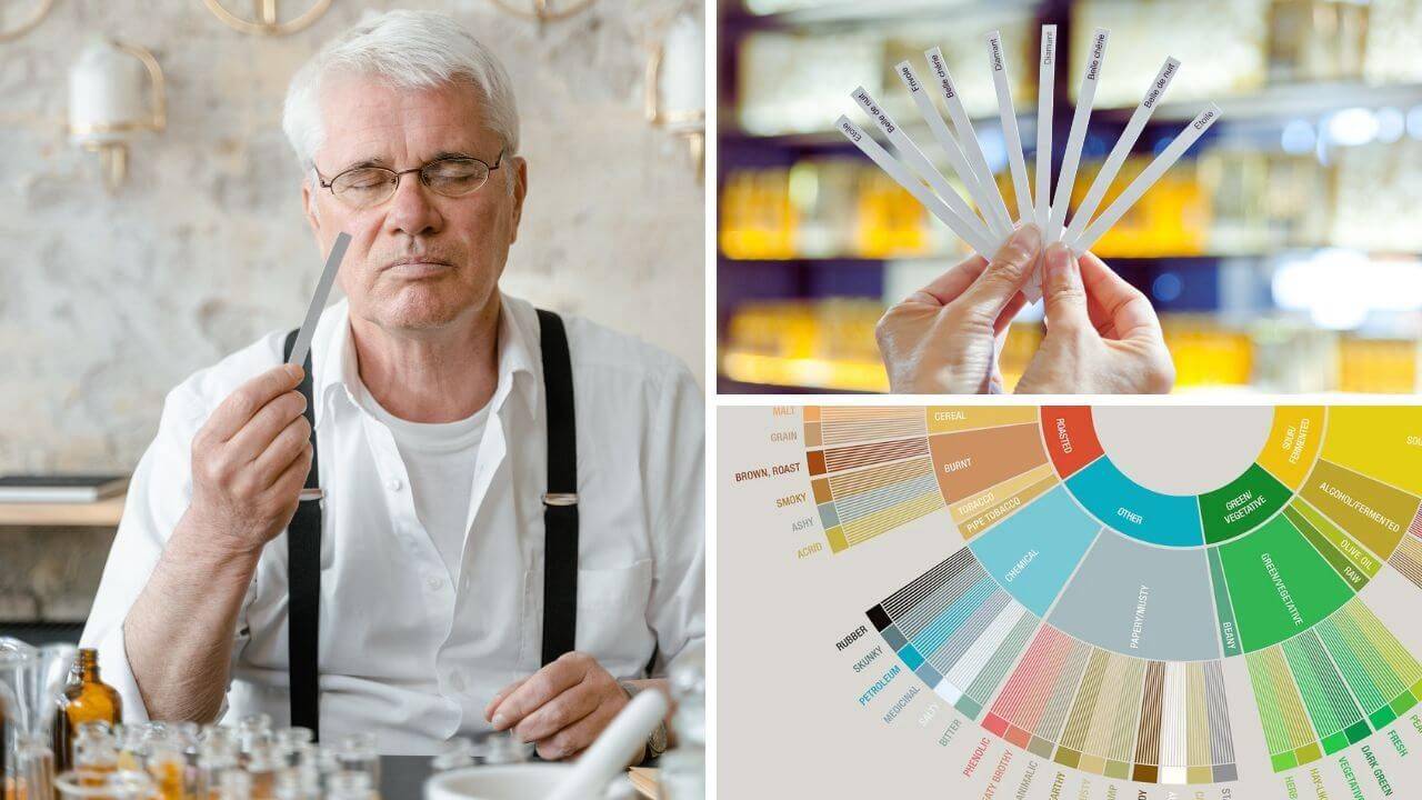 Mastering Your Palate: How to Use a Flavour Lexicon