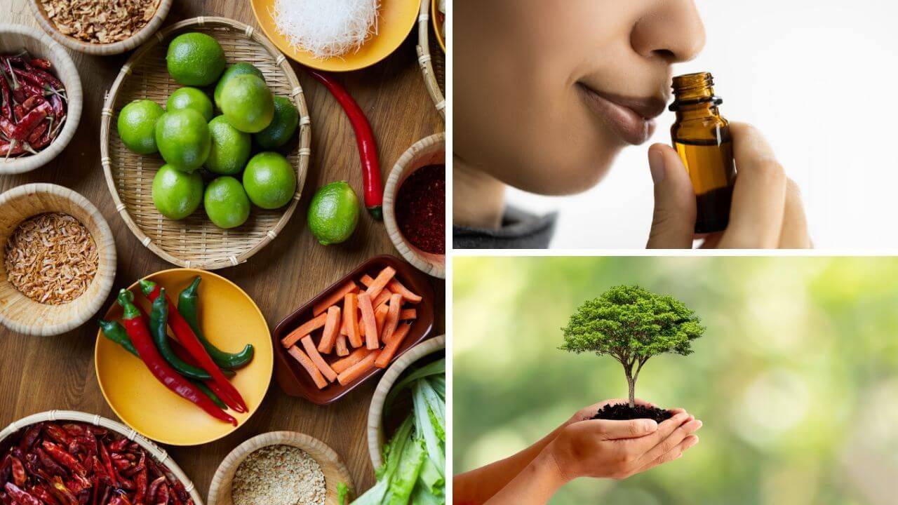Natural vs. Non-Natural Flavours: A Comprehensive Guide