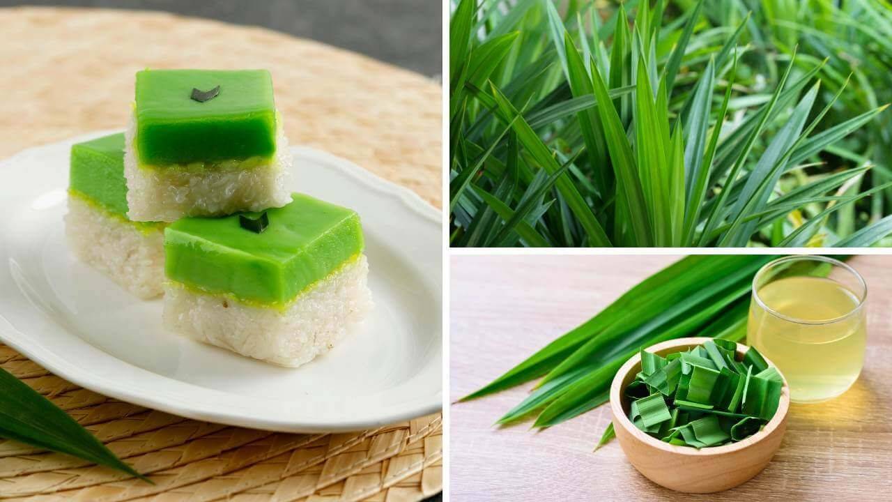 What does pandan taste like?