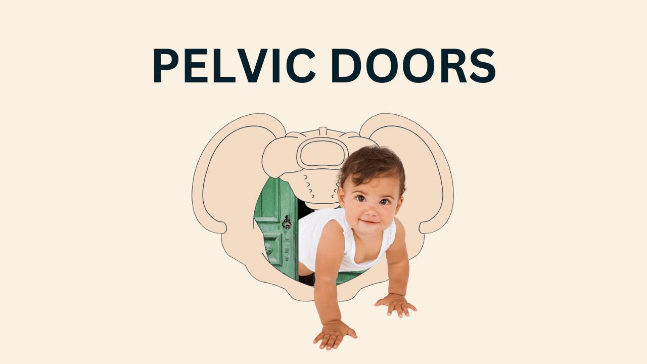 Pelvic Floors & Birth Workshop