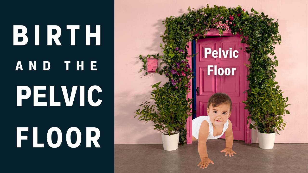 Pelvic Floors & Birth Workshop