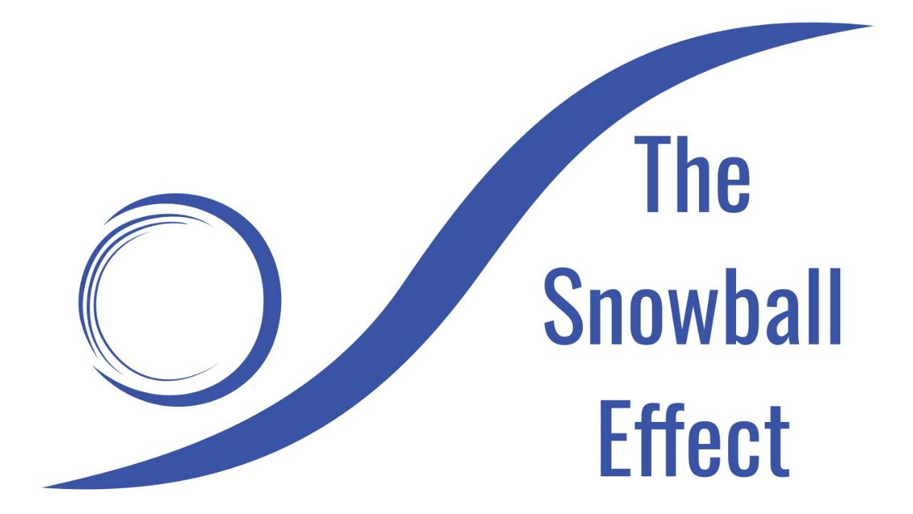 The Snowball Effect LinkedIn Training