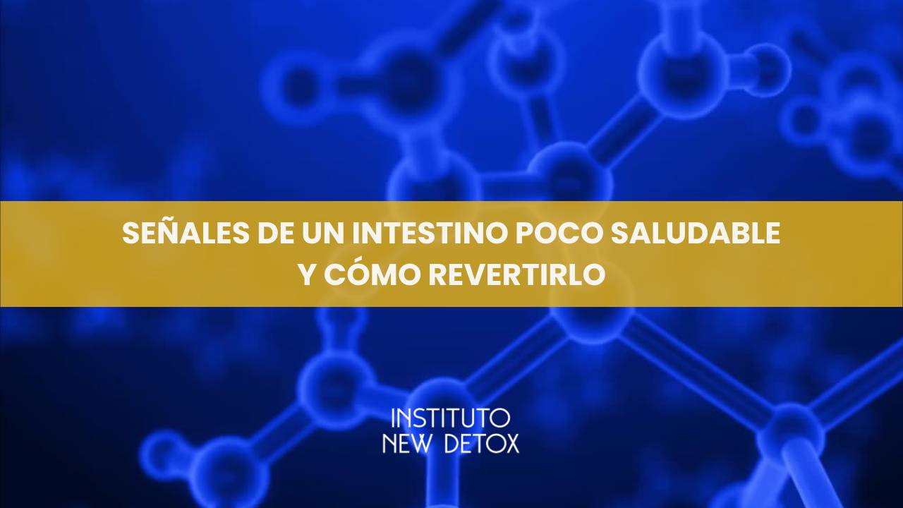 Señales de un intestino poco saludable y cómo revertirlo