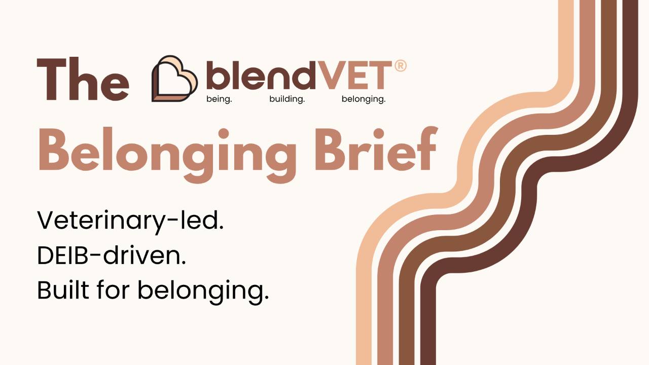 The Belonging Brief June 2025