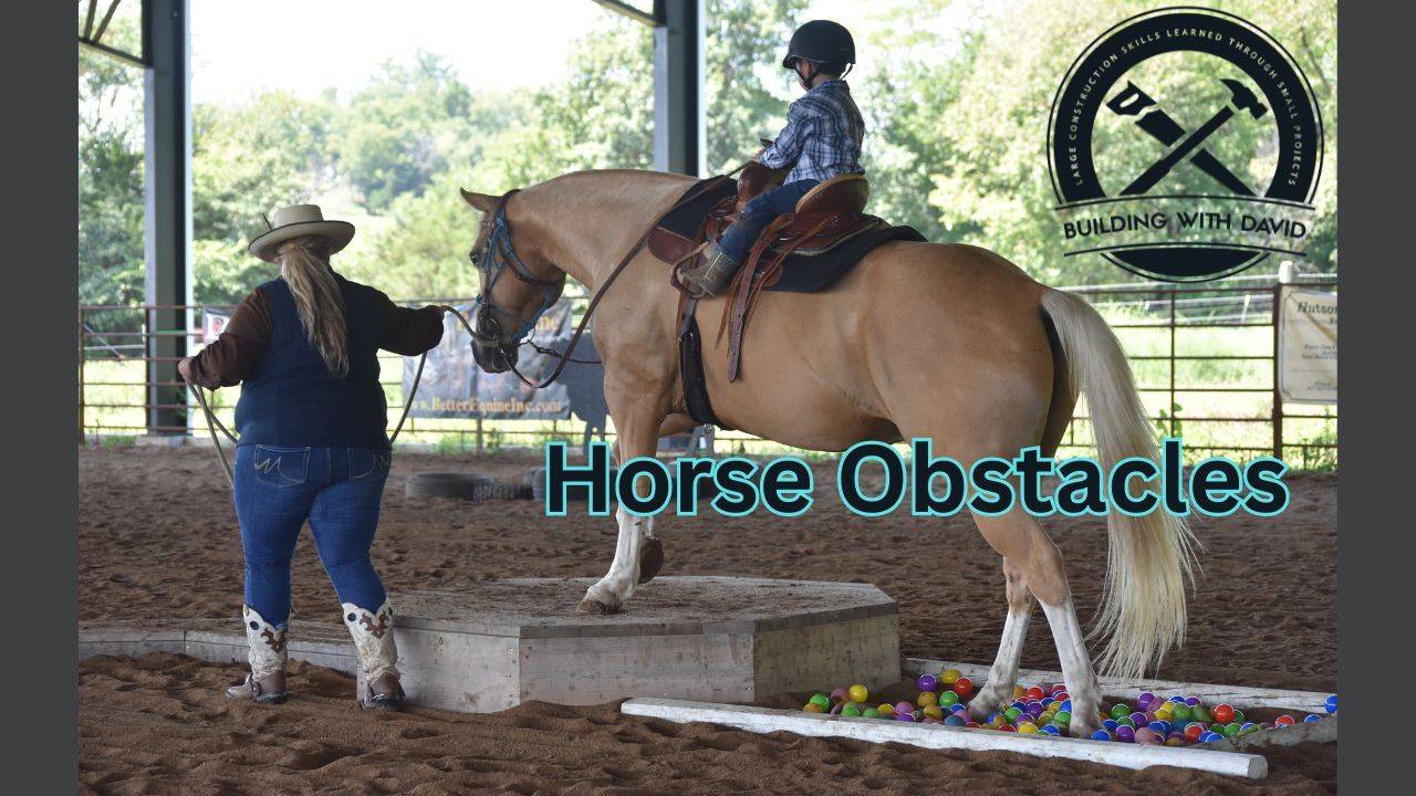 Equine Obstacles
