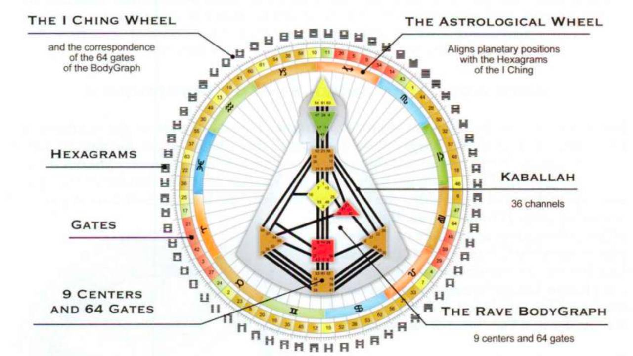 Understand How To Use Human Design In Your Business