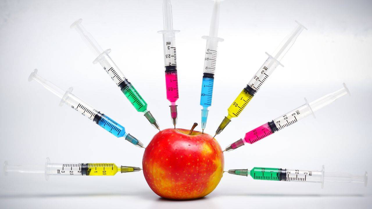 Understanding GMO Foods and Their Impact on Our Health
