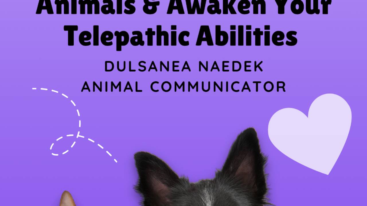 Free Guide: 13 Tips To Talk With Your Animal