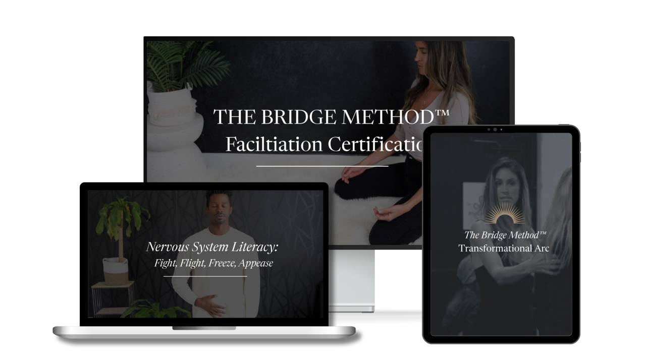 The Bridge Method™ Facilitation Certification