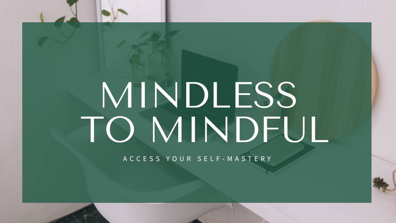 Mindless to Mindful Academy
