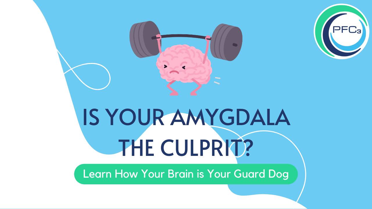 Learn How Your Brain is Your Guard Dog