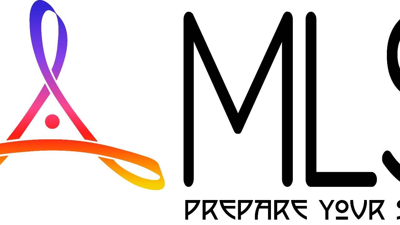 MLS Professional Chiropractic Seminars