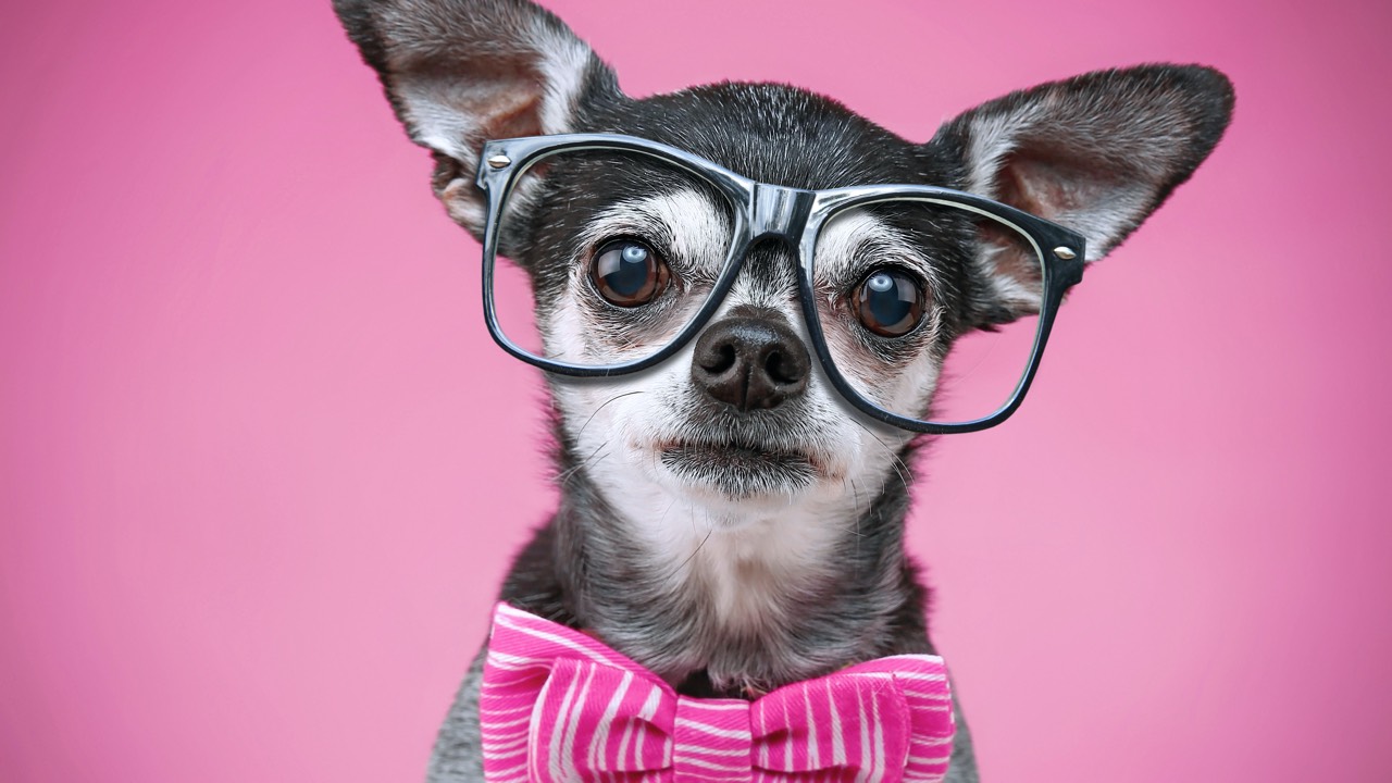 20 Off-the-Cuff Ways to Market and Advertise your Commercial Cleaning ...