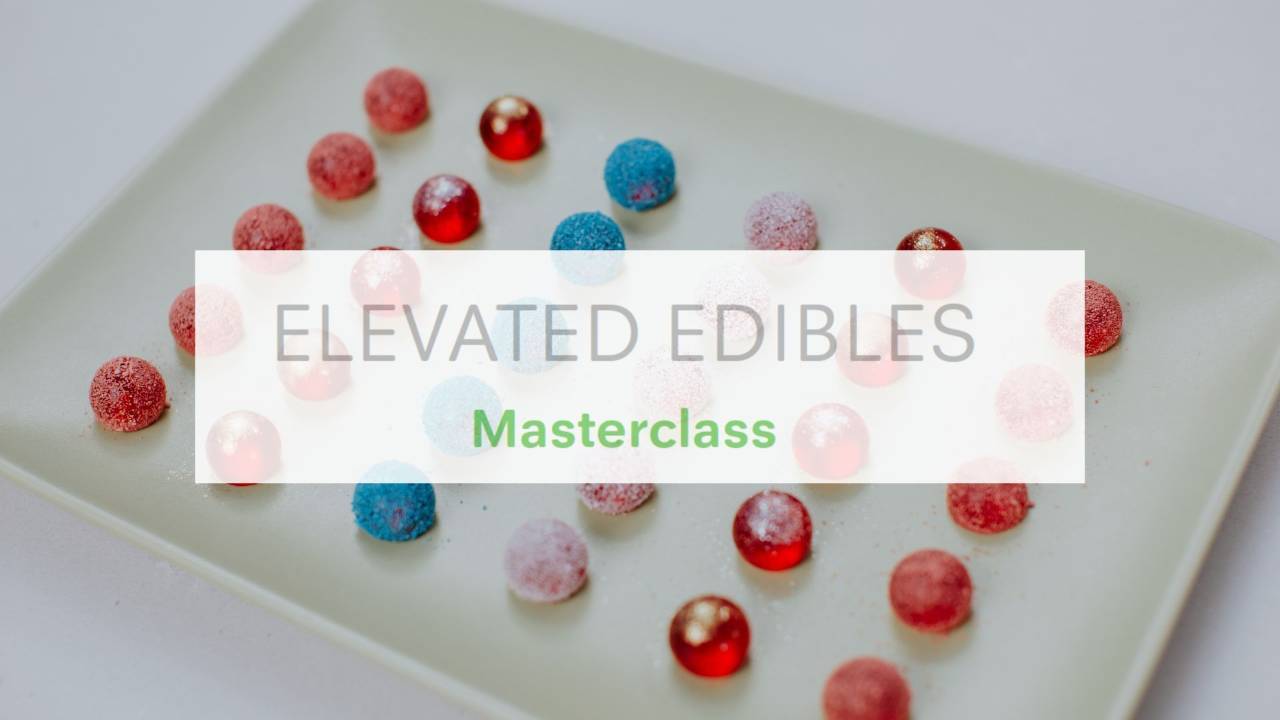 LĒVO Elevated Edibles Masterclass