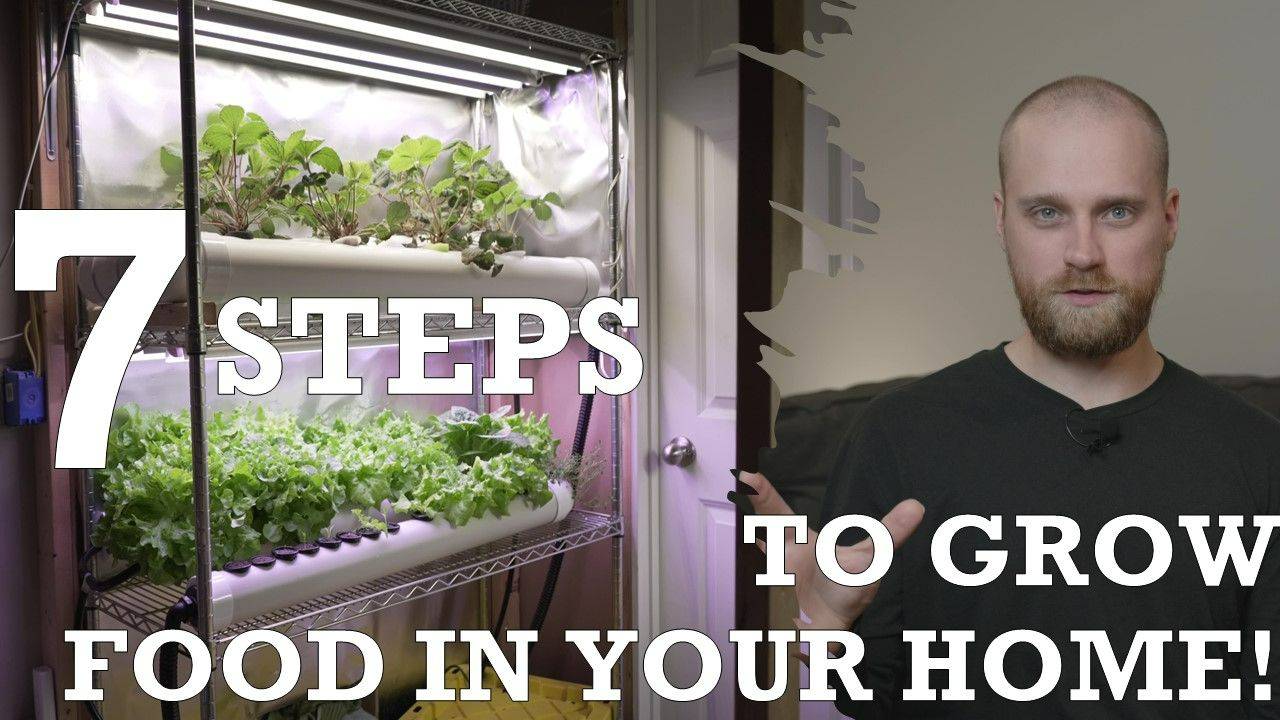 7 Steps to Growing Food in Your Home!