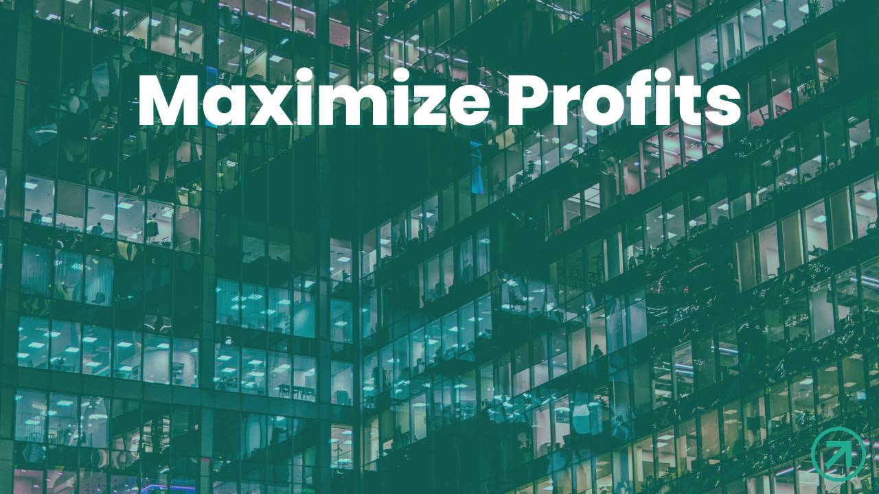 How to maximize profits in business?