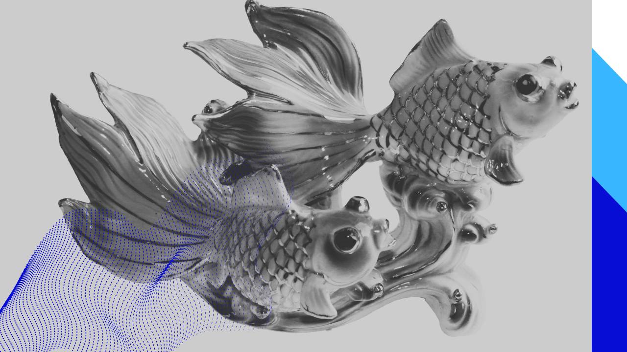 Two Young Fish - Realities That Are Sometimes Difficult to See