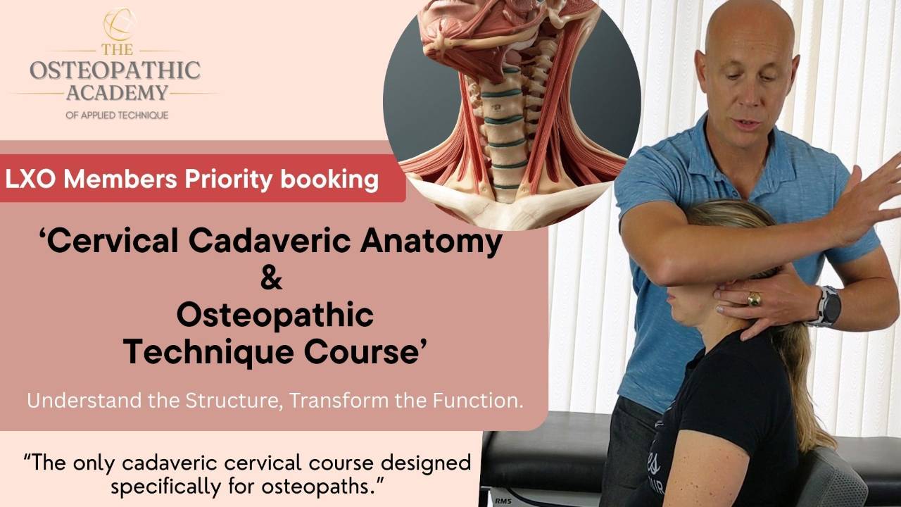 Cervical Cadaveric Anatomy & Osteopathic Technique Course
