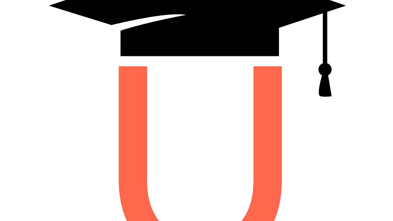 The Seagull Team Member: Preventing a Seagull Impact on Your Team