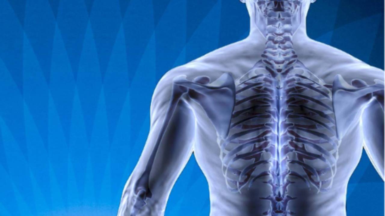 Daily Motivational Emails for Your Chiropractic Practice