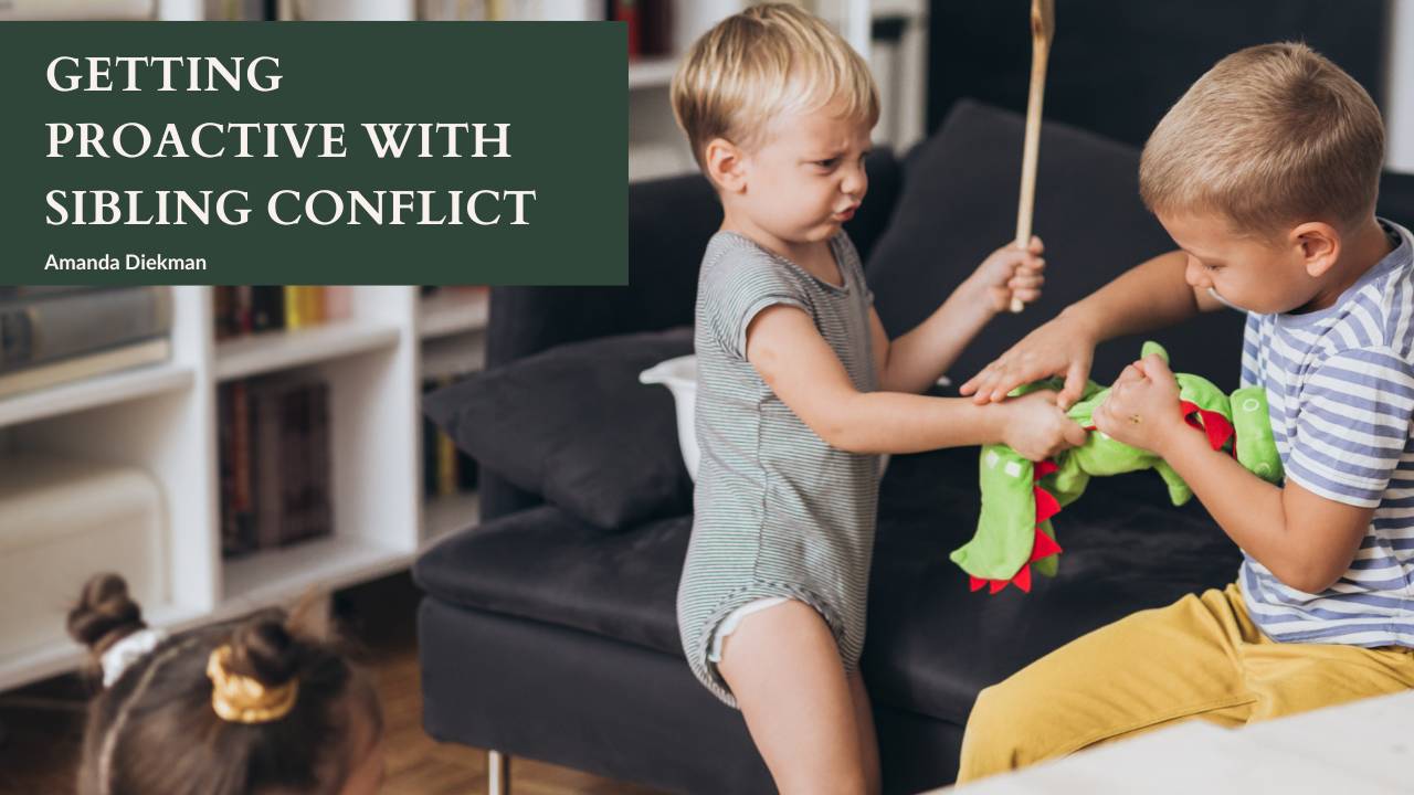 Getting Proactive With Sibling Conflict