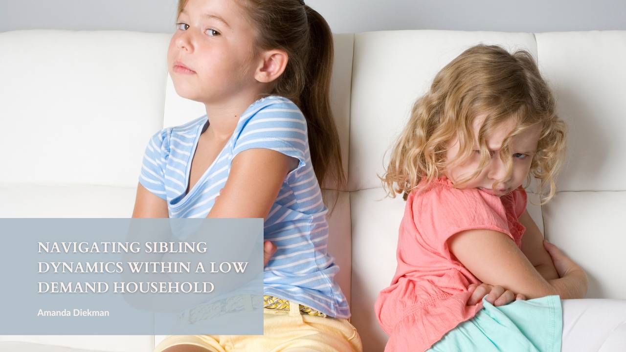 Navigating Sibling Dynamics Within a Low Demand Household