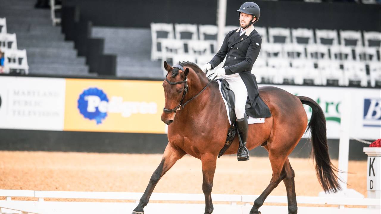 The Demands of Top Level Riding