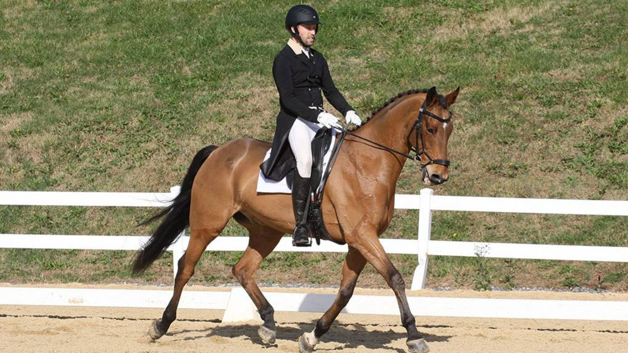 1 Simple Tip to Improve Your Dressage Scores