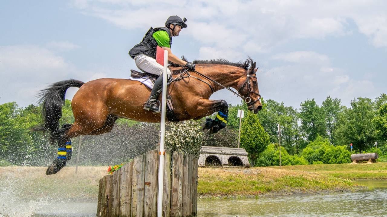 Rein Length: Part 2 - Examples